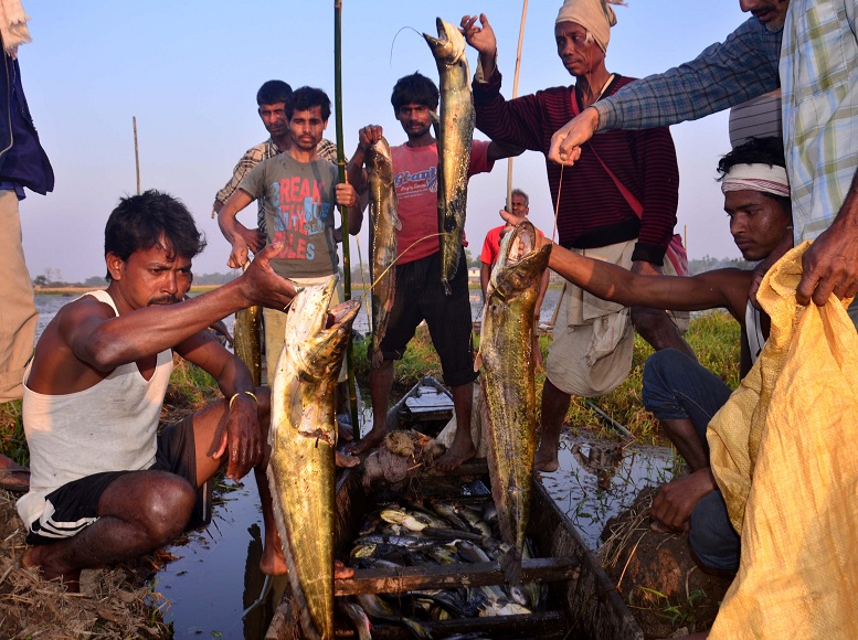 Fishing before feasting | Assam Times