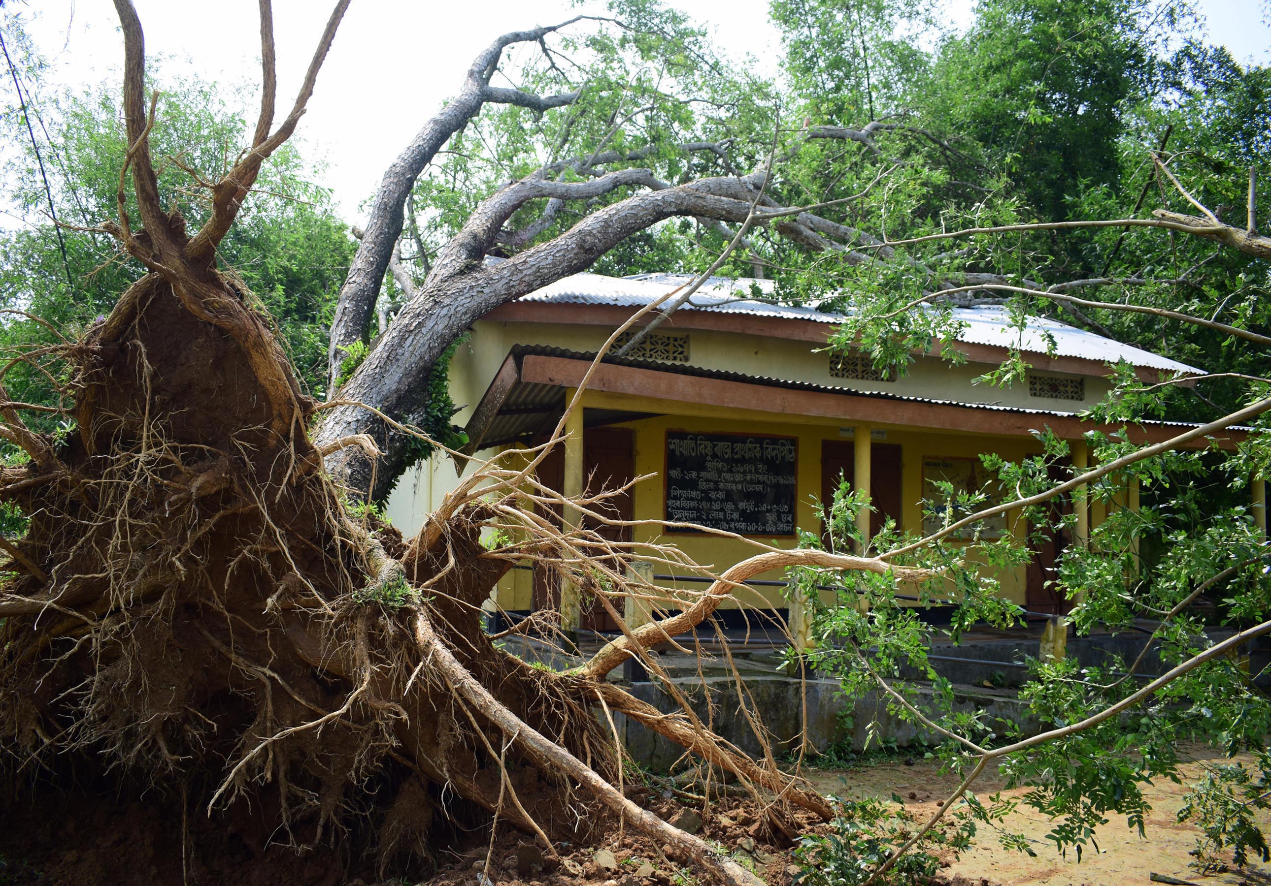 Ravaging storm revisits | Assam Times