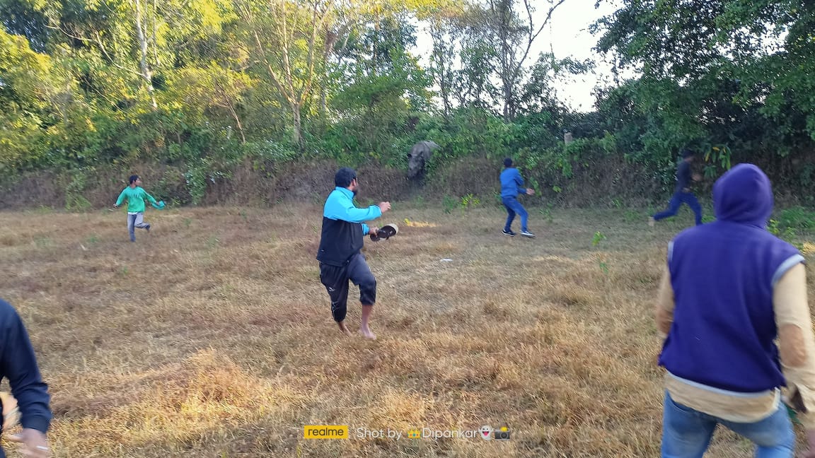 Rhinos graze at Nazira | Assam Times
