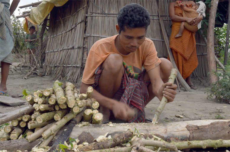 Politics over displaced Bodos | Assam Times