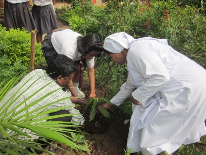 WWF-India plants trees on WED | Assam Times